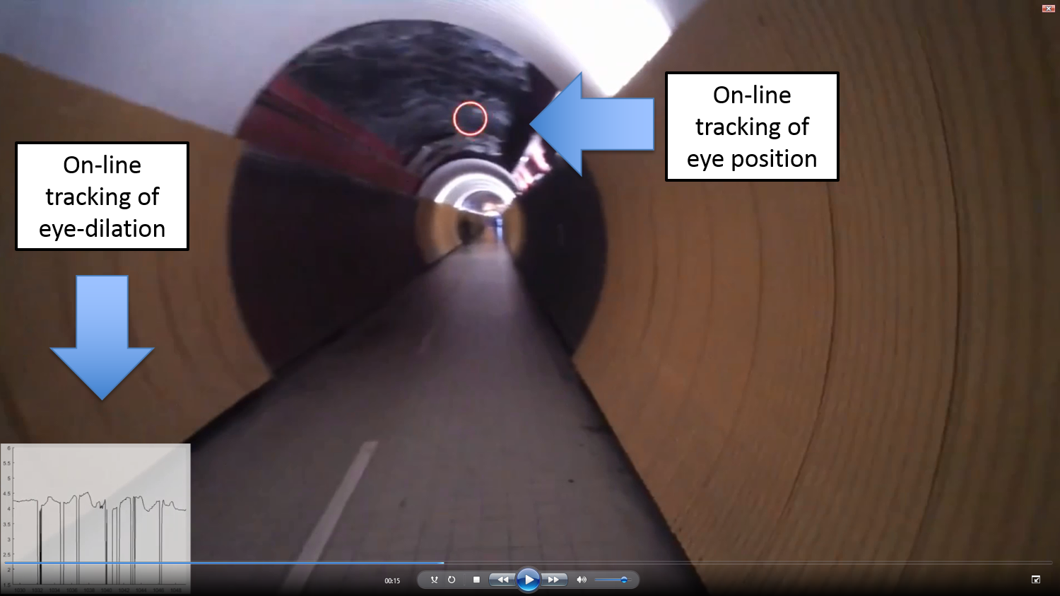 Eye-tracking: static and glasses | Decision, Environmental ...