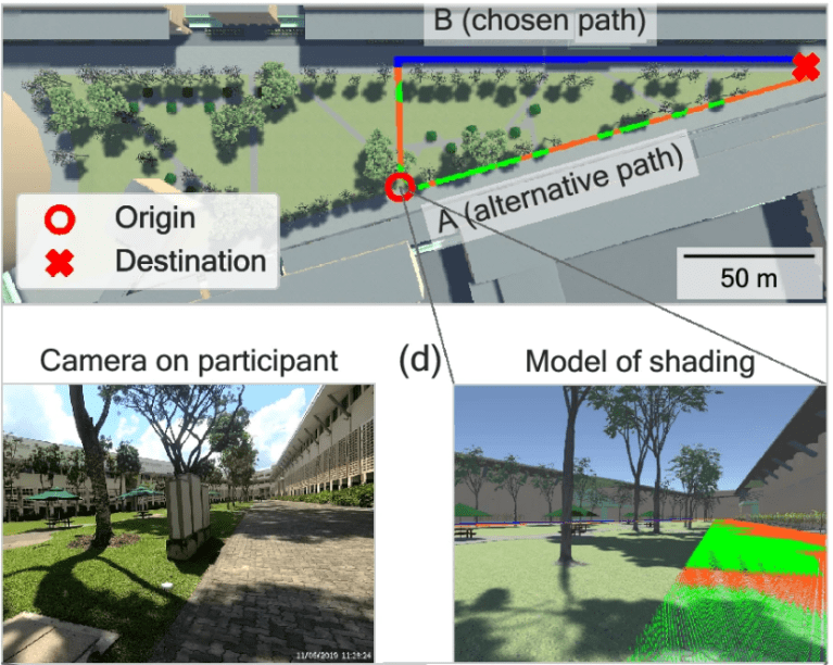 Environment and Neuroscience | Decision, Environmental & Organizational ...